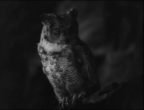 …Science, like love, has her little surprises – as you shall see… Dr ...